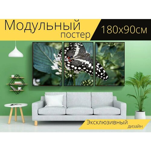 Модульный постер "Бабочка, цветы, сад" 180 x 90 см. для интерьера