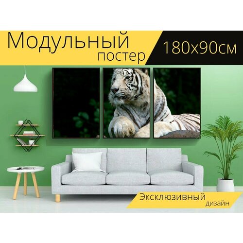 Модульный постер "Тигр, белый, природа" 180 x 90 см. для интерьера