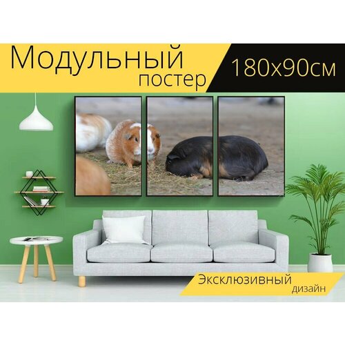 Модульный постер "Морская свинка, зоопарк, милый" 180 x 90 см. для интерьера
