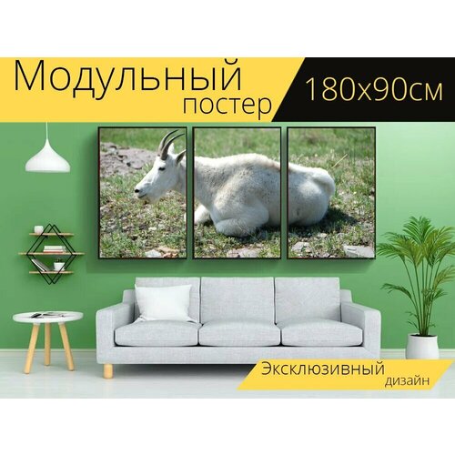 Модульный постер "Козел, козы, горный козел" 180 x 90 см. для интерьера