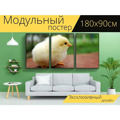 Модульный постер "Курица, цыпленок, деревня" 180 x 90 см. для интерьера