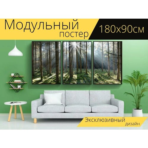 Модульный постер "Ель, лес, хвойное дерево" 180 x 90 см. для интерьера