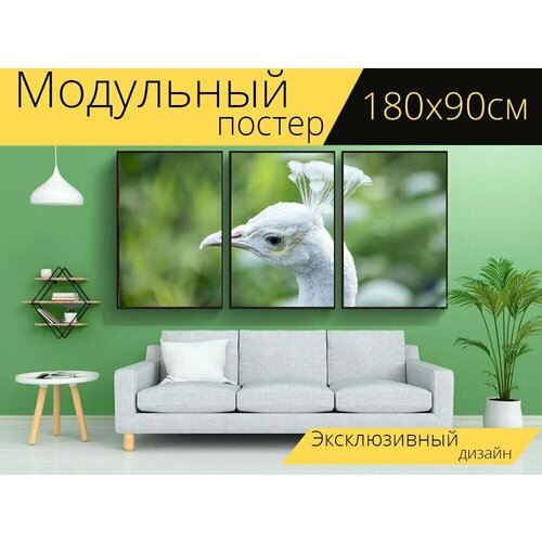Модульный постер "Павлин, птица, оперение" 180 x 90 см. для интерьера