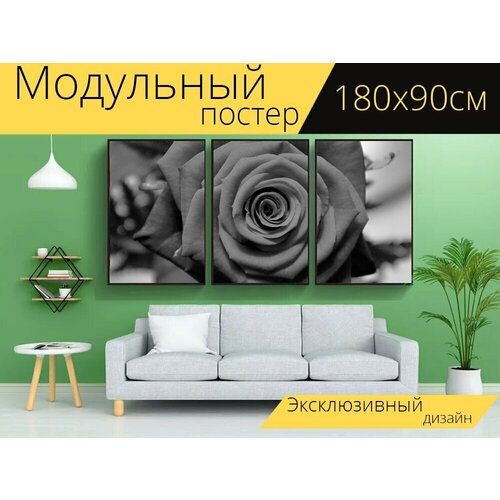 Модульный постер "Роза в чернобелом, роза, цвести" 180 x 90 см. для интерьера