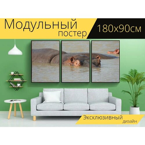 Модульный постер "Бегемот, плавание, африка" 180 x 90 см. для интерьера