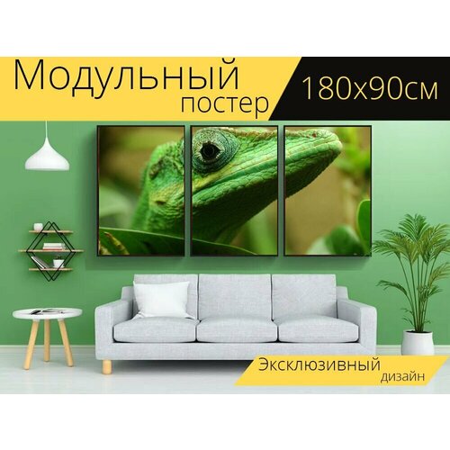 Модульный постер "Ящерица, рептилия, ящерицы" 180 x 90 см. для интерьера