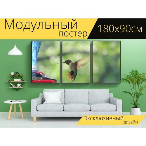 Модульный постер "Птица, колибри, в полете" 180 x 90 см. для интерьера