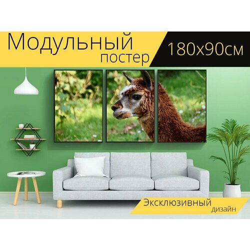 Модульный постер "Альпака, верблюды, альпака приятно" 180 x 90 см. для интерьера