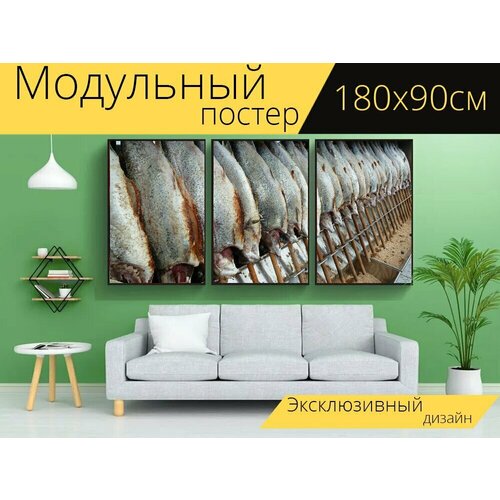Модульный постер "Рыбы, треска, копченый" 180 x 90 см. для интерьера