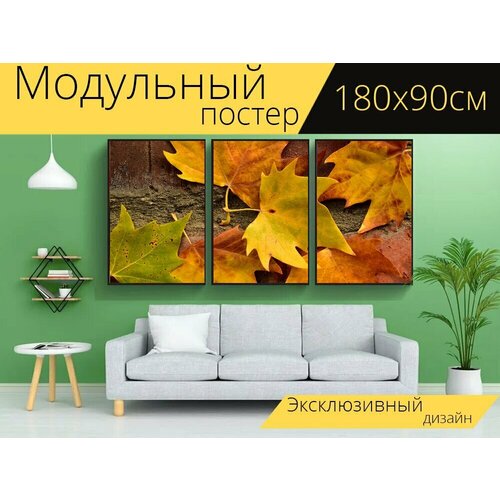 Модульный постер "Падение, листья, кленовые листья" 180 x 90 см. для интерьера
