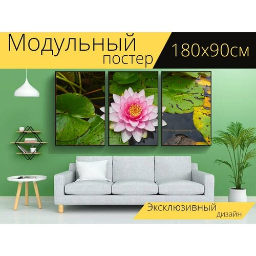 Модульный постер "Водяная лилия, водная трава, завод" 180 x 90 см. для интерьера