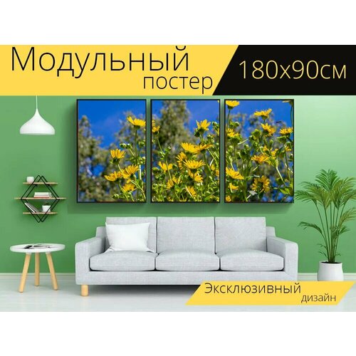 Модульный постер "Астра, гора aster, цветок" 180 x 90 см. для интерьера