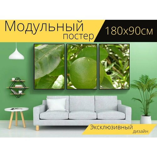 Модульный постер "Лимоне, фрукты, сердитый" 180 x 90 см. для интерьера