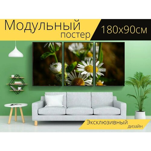 Модульный постер "Цветок, маргаритка, уронить" 180 x 90 см. для интерьера