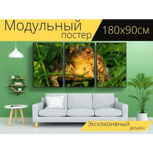 Модульный постер "Жаба, лягушка, амфибия" 180 x 90 см. для интерьера