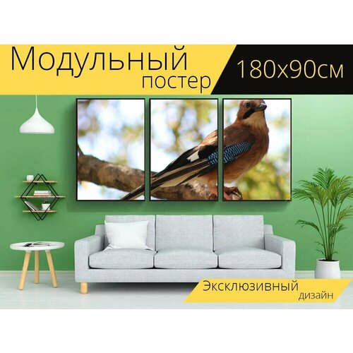 Модульный постер "Птица, сойка, корсиканского" 180 x 90 см. для интерьера