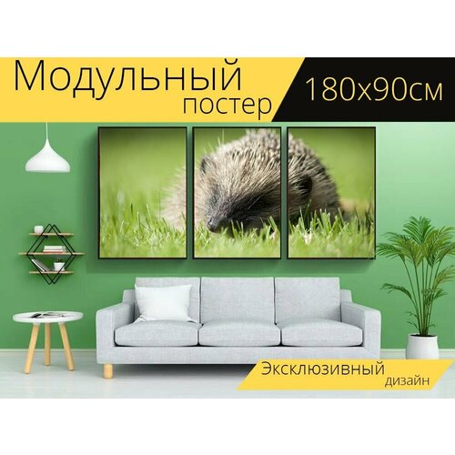 Модульный постер "Еж, английский садовое животное, животное" 180 x 90 см. для интерьера