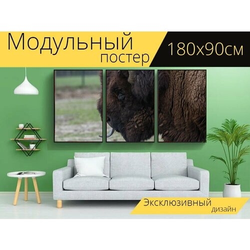 Модульный постер "Американский бизон, зубр, животное" 180 x 90 см. для интерьера