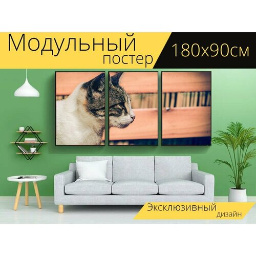Модульный постер "Кошка, малай, тигр" 180 x 90 см. для интерьера