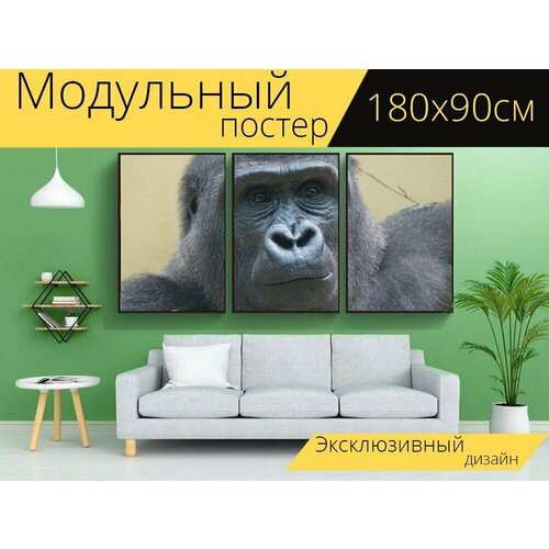 Модульный постер "Горилла, обезьяна, внушительный" 180 x 90 см. для интерьера