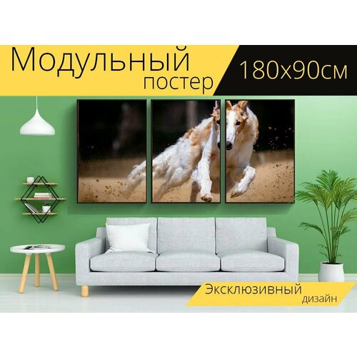 Модульный постер "Собака, собачий, гонка" 180 x 90 см. для интерьера