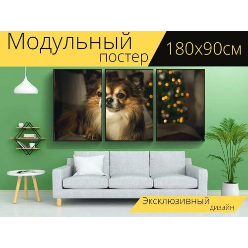Модульный постер "Чихуахуа, рождественские огни, собака" 180 x 90 см. для интерьера