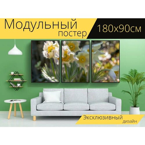 Модульный постер "Подснежники, цветы, природа" 180 x 90 см. для интерьера