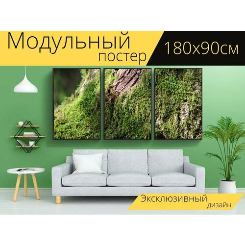 Модульный постер "Мох, зеленый, дерево" 180 x 90 см. для интерьера