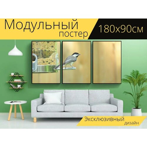 Модульный постер "Птица, крошечный, синица" 180 x 90 см. для интерьера