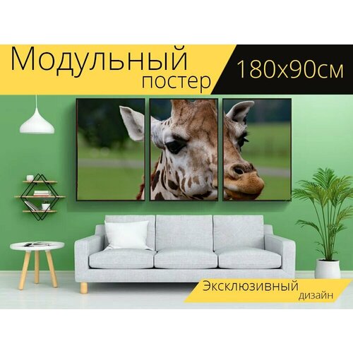 Модульный постер "Жирафа, жираф портрет, дикая природа" 180 x 90 см. для интерьера