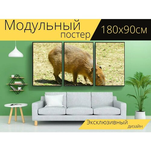 Модульный постер "Капибара, грызун, млекопитающее" 180 x 90 см. для интерьера