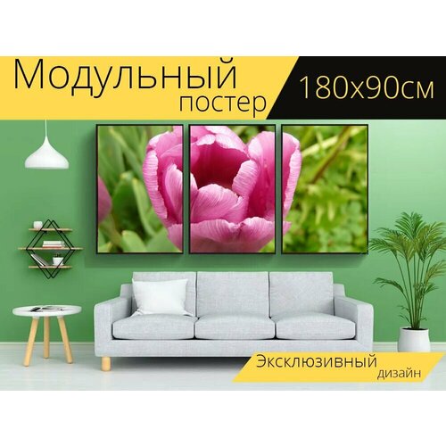 Модульный постер "Роза, завод, сад" 180 x 90 см. для интерьера