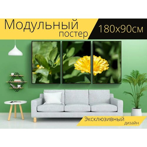 Модульный постер "Цветок, желтый, желтый цветок" 180 x 90 см. для интерьера