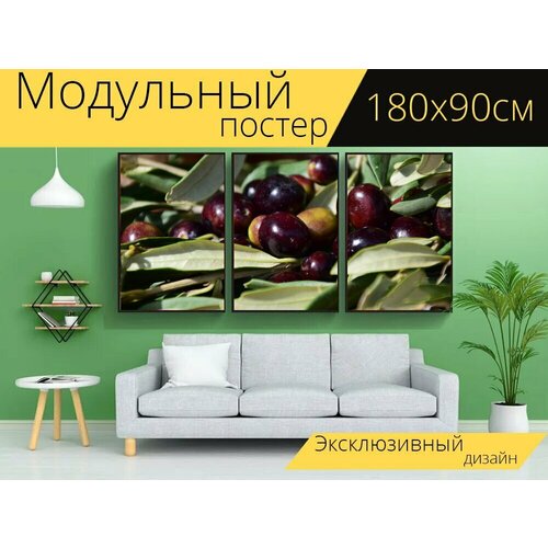 Модульный постер "Оливки, чернить, черные оливки" 180 x 90 см. для интерьера