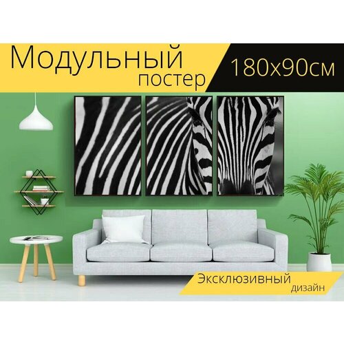 Модульный постер "Зебра, чернить, чернобелый" 180 x 90 см. для интерьера