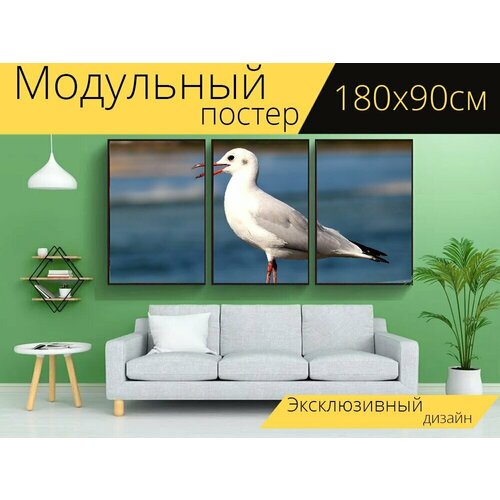 Модульный постер "Чайка, птица, сиберд" 180 x 90 см. для интерьера