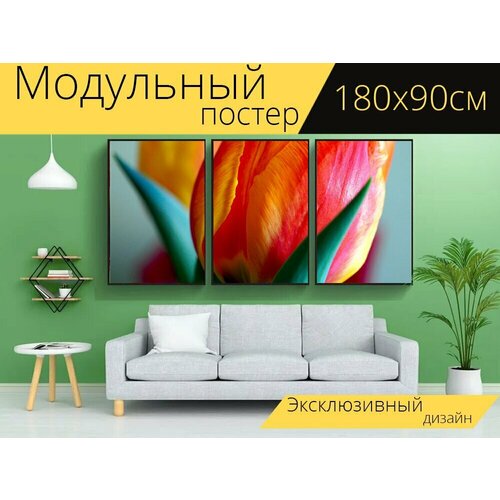 Модульный постер "Цветы, тюльпаны, лепестки" 180 x 90 см. для интерьера