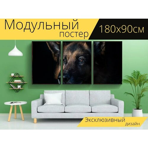 Модульный постер "Немецкая овчарка, домашнее животное, голова собаки" 180 x 90 см. для интерьера