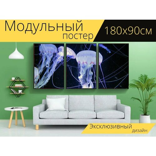 Модульный постер "Медуза, морские животные, аквариум" 180 x 90 см. для интерьера