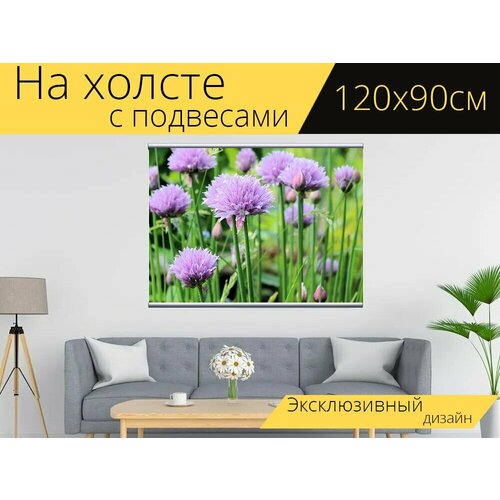 Картина на холсте "Чеснок, цветущий, природа" с подвесами 120х90 см. для интерьера