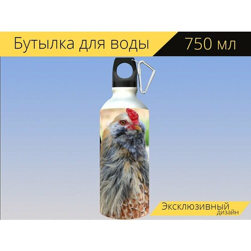 Бутылка фляга для воды "Петух, петушок, курица" 750 мл. с карабином и принтом