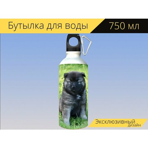 Бутылка фляга для воды "Собака, щенок, молодая собака" 750 мл. с карабином и принтом