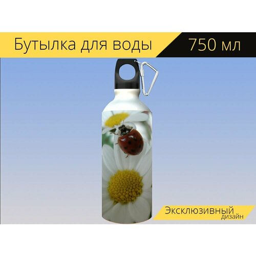 Бутылка фляга для воды "Божья коровка, природа, животные" 750 мл. с карабином и принтом