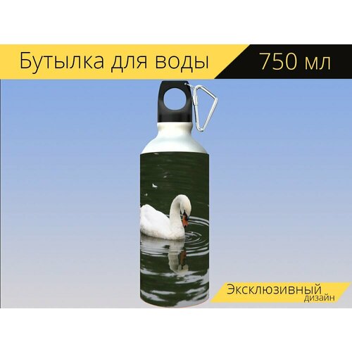 Бутылка фляга для воды "Лебедь, птица, пруд" 750 мл. с карабином и принтом