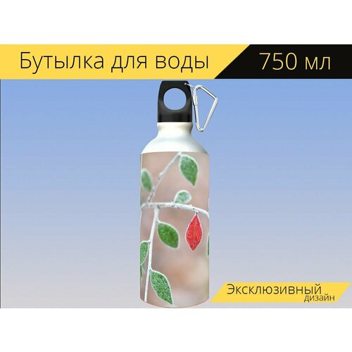 Бутылка фляга для воды "Листья, мороз, филиал" 750 мл. с карабином и принтом