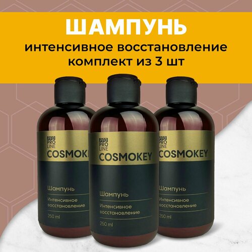 Cosmokey / Космокей Шампунь для поврежденных, ломких и сухих волос "Интенсивное восстановление" 3 шт по 250 мл