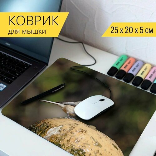 Коврик для мыши с принтом "Синица, крошечный, птица" 25x20см.