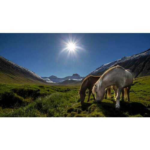Картина на холсте 60x110 LinxOne "Лошадь солнце луг горы исландия" интерьерная для дома / на стену / на кухню / с подрамником