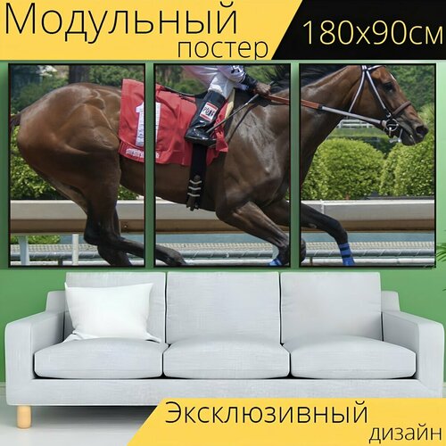 Модульный постер "Лошадь, скачки, жокей" 180 x 90 см. для интерьера
