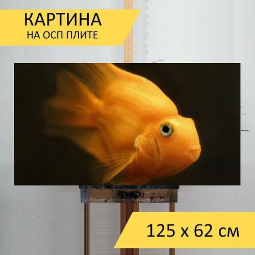 Картина на ОСП 125х62 см. "Рыбы, золотая рыбка, вода" горизонтальная, для интерьера, с креплениями